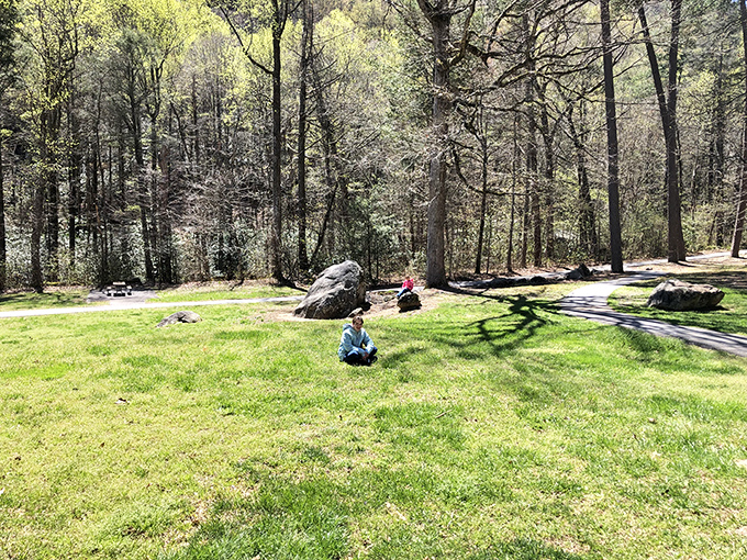A peaceful moment in a sun-dappled meadow. Sometimes the best vacation souvenirs are the memories of simply sitting still in a beautiful place.