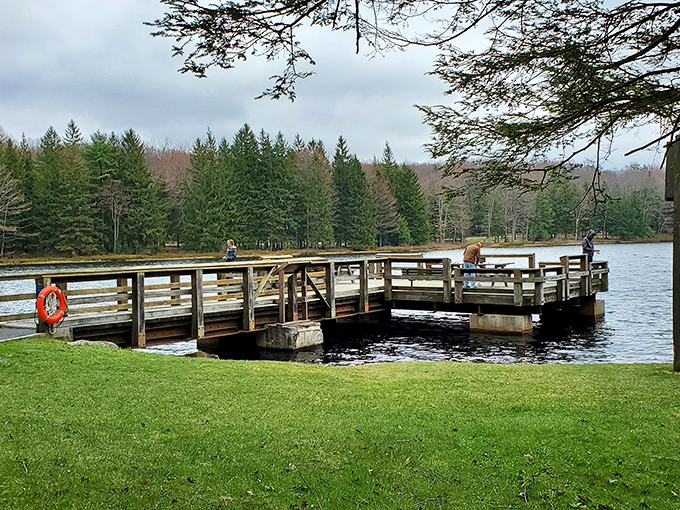 This fishing dock isn't just a platform&mdash;it's front-row seating to the greatest show on earth, starring fish who've mastered the art of playing hard to get.