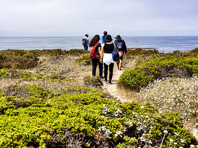 Fellow explorers navigating the coastal trail. That narrow path leads to views so spectacular they should charge admission.