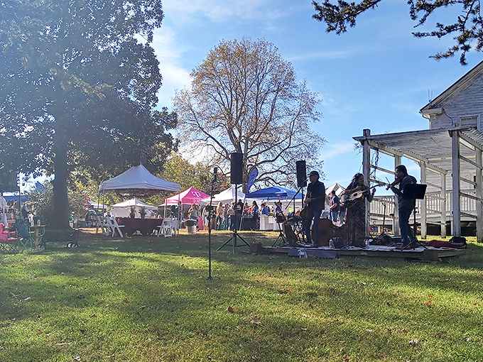 Local musicians turn a sunny afternoon into an impromptu festival. These outdoor concerts hit different when there's no ceiling but sky.