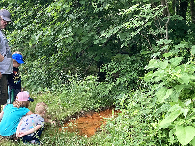 Local families discover that the best entertainment doesn't require cable TV or admission fees.