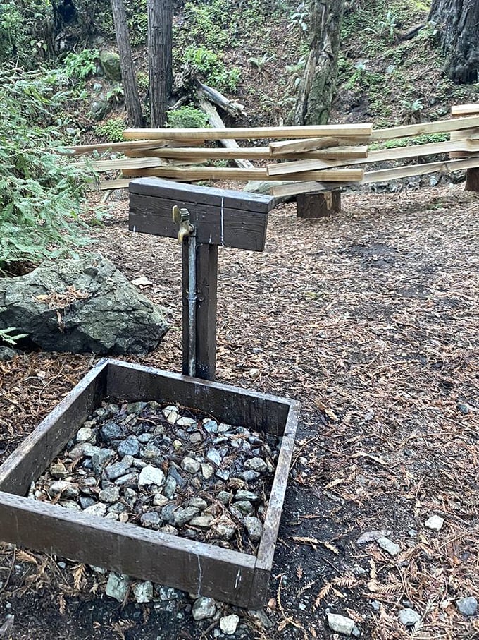 Civilization's modest contribution: a rustic water pump that looks like it could tell stories of countless campers filling their bottles after dusty hikes.