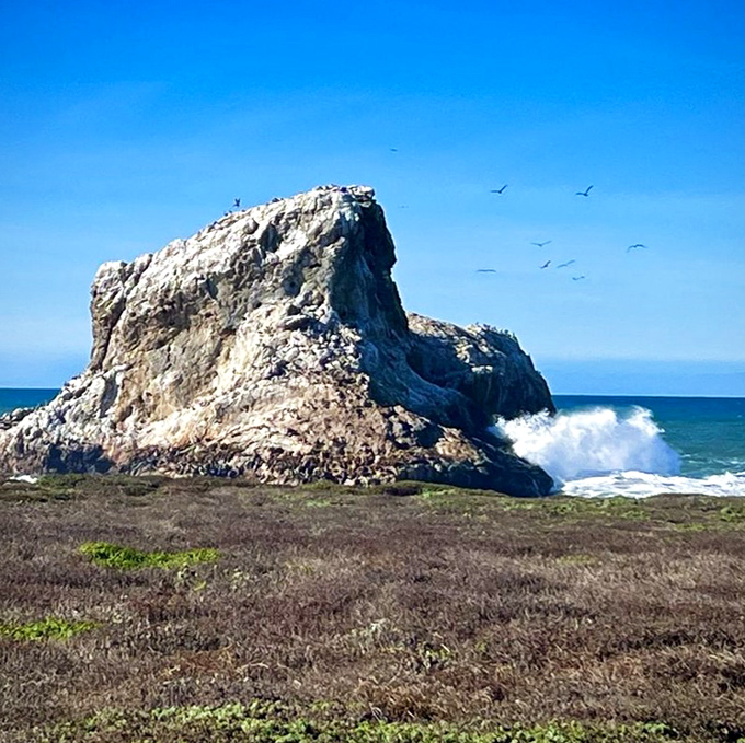 Nature's own sculpture gallery, where centuries of seabirds have left their, ahem, artistic mark on ancient rocks.