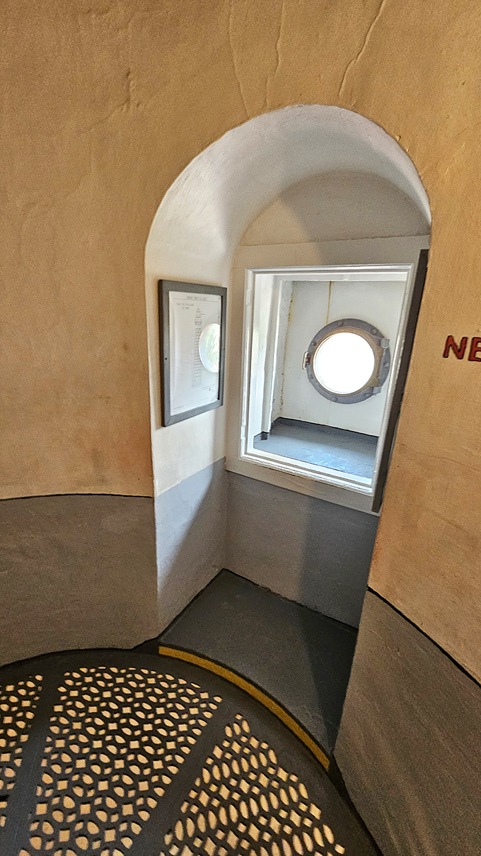 Portholes aren't just for ships! This charming window offers a perfectly framed glimpse of Lake Michigan's stunning coastline.