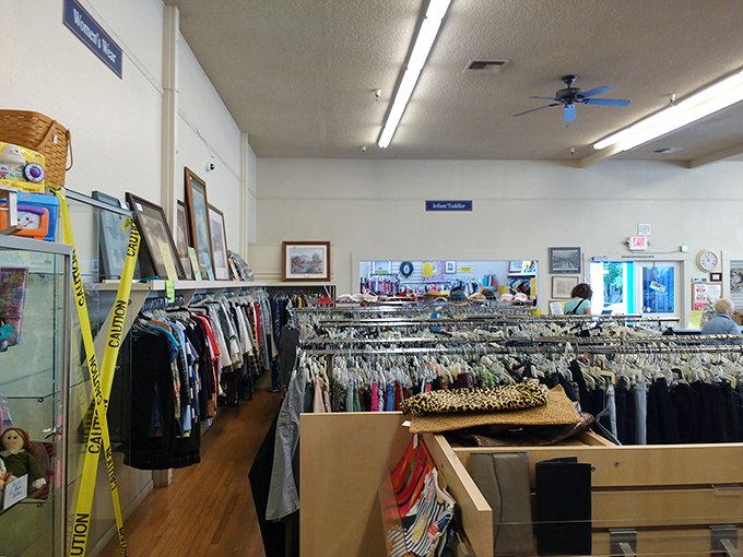 Organization is king here—no digging through jumbled piles. Each section is meticulously arranged, making treasure hunting surprisingly civilized.