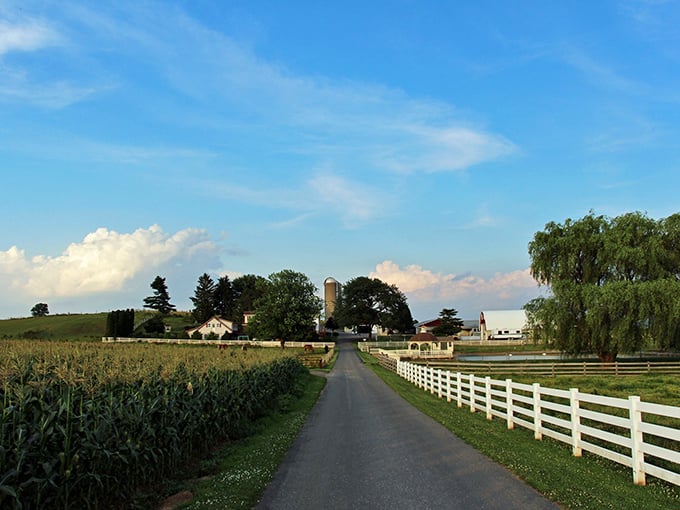 Amish Farm Stay against that blue sky &ndash; better than any meditation app for instant calm.