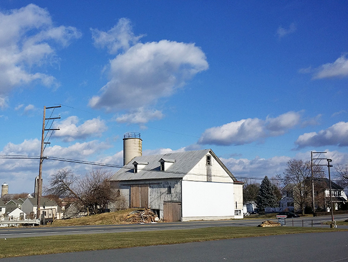 That classic grain elevator stands like a monument to honest work and communities built on agriculture.