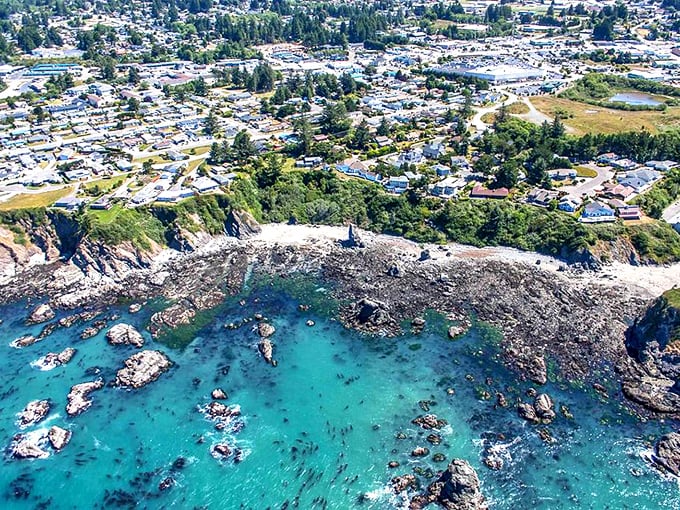 Brookings hugs the coastline like it's keeping a beautiful secret—affordable retirement with California-adjacent sunshine.