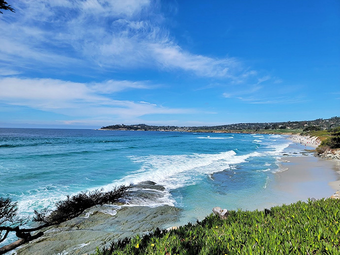 Carmel's famous coastline unfolds like a painting. Those waves are calling to every dog with adventure in their heart.