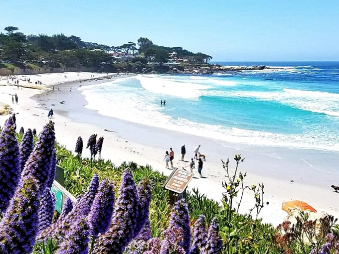 Carmel-by-the-Sea's beach offers that rare combination: pristine white sand, dramatic cliffs, and not a high-rise in sight.