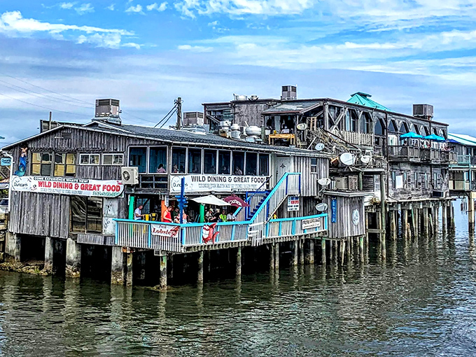 Cedar Key's over-water eateries&mdash;where seafood travels mere feet from boat to plate. This weathered wooden wonder has survived more hurricanes than Keith Richards.