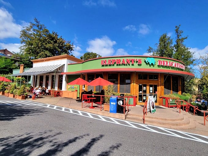 Elephants Delicatessen's curved green building stands out like a friendly giant, promising delicious treasures inside.
