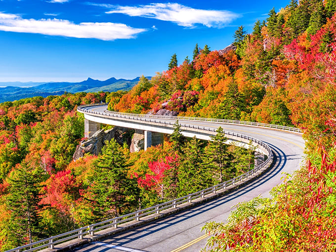 Fall fashion show on the Foothills Parkway, where Mother Nature struts her stuff in crimson, gold, and every shade between.