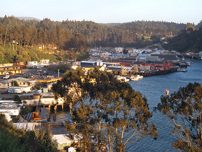 Fort Bragg's rugged coastline comes with a gentle price tag. Mother Nature's finest show doesn't require a premium subscription.