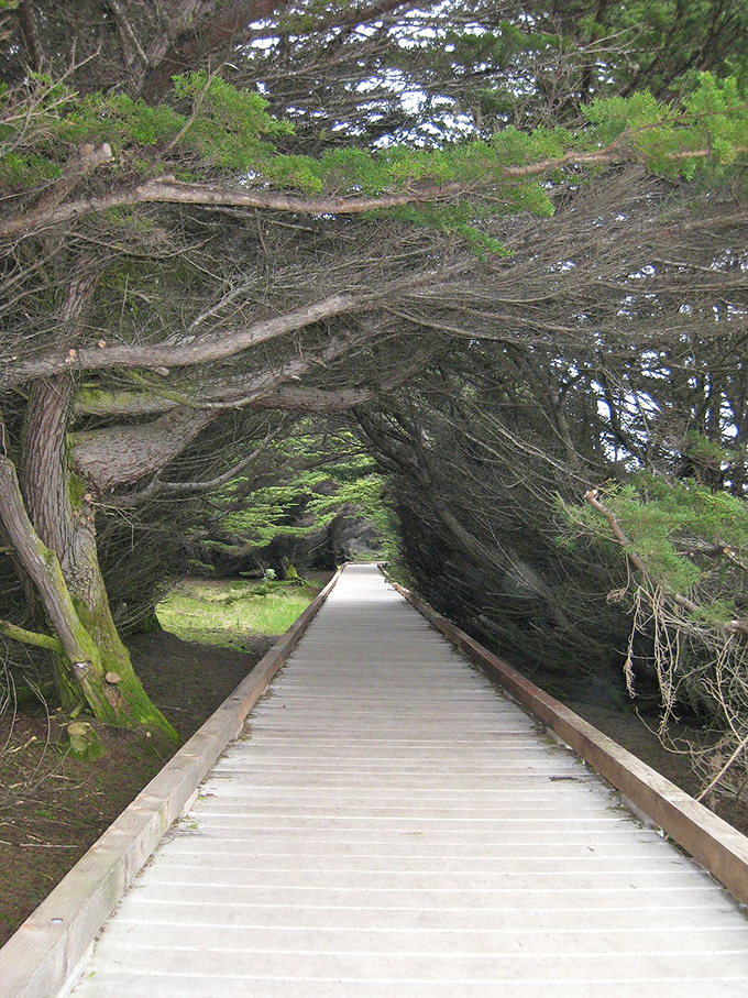 Fort Bragg's dramatic coastline tells stories in stone and spray – retirement with a view doesn't get more spectacular than this.