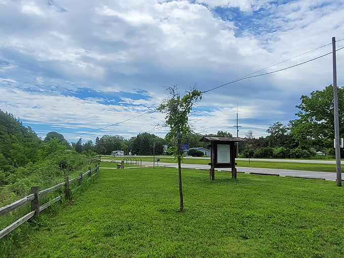 Where the forest parts to reveal Michigan's endless green tapestry. Worth every mile of the journey!