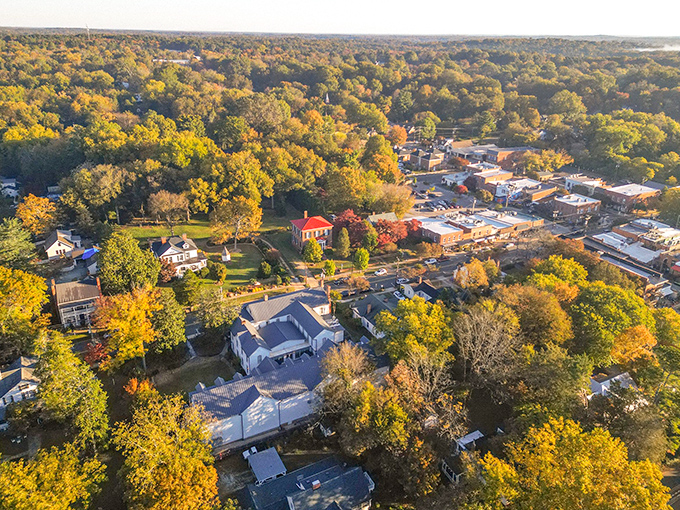 Hillsborough in autumn is Mother Nature's masterclass in color theory. Those trees are showing off and they know it!