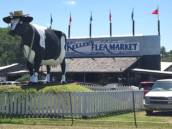 Look for the cow in a hat! Keller's quirky landmark lets you know you've arrived at bargain paradise.