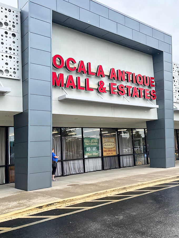 Ocala Antique Mall's sleek, modern facade belies the centuries of history waiting inside &ndash; architectural misdirection at its finest.