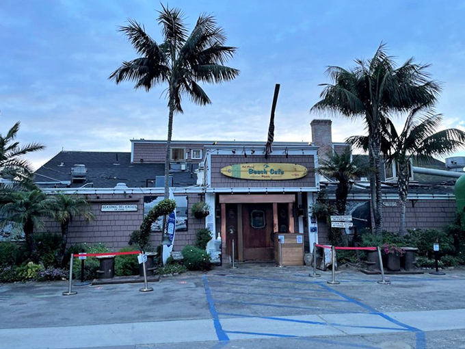A rustic beach shack with serious culinary credentials. Those weathered wooden walls have seen decades of happy diners.
