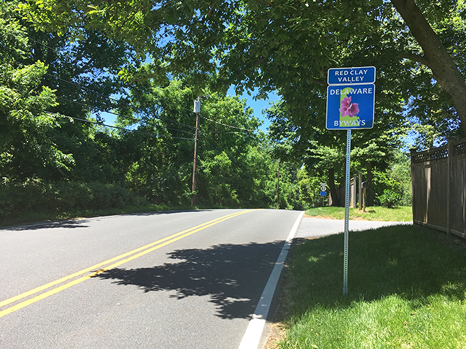 The Red Clay Valley Byway's shaded curves invite you to slow down. Rush hour here means waiting for a family of deer to cross.