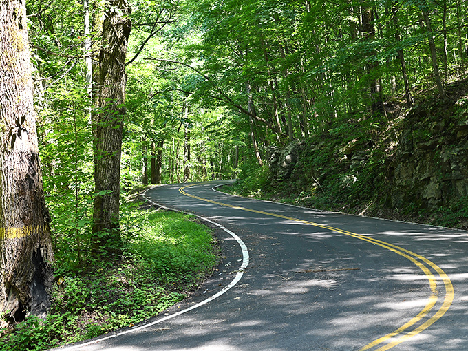 The winding path through Ridge and Valley country feels like nature's therapy session. Who needs meditation apps with views like this?
