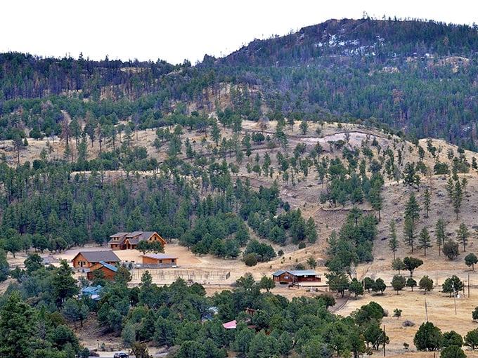Nestled among rolling hills and pine forests, Springerville offers the kind of peaceful setting that makes your blood pressure medication almost optional.