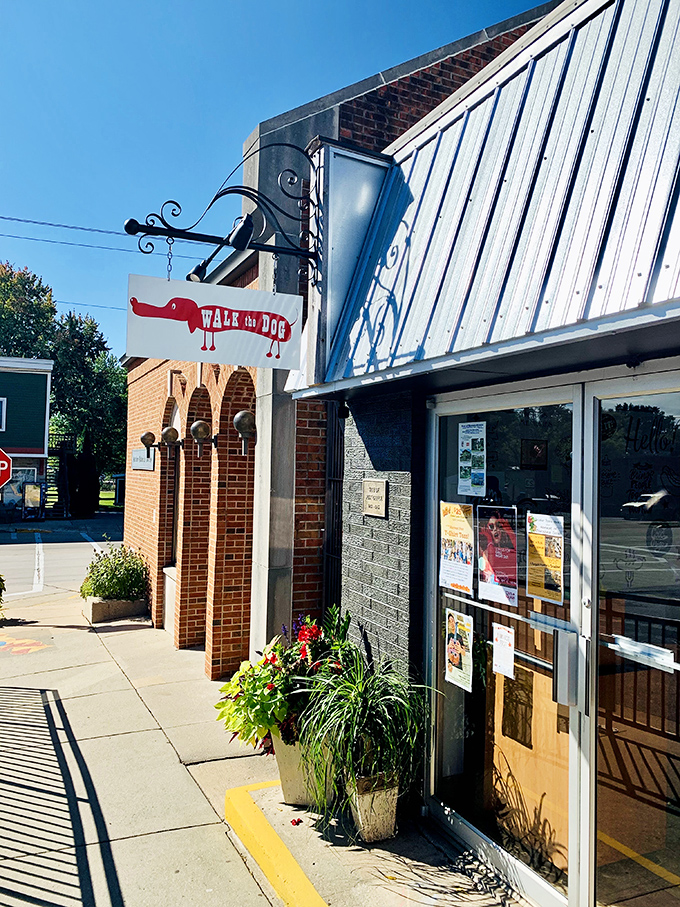 That playful dachshund sign says it all: WALK THE DOG isn't just clever wordplay, it's Green Lake's answer to hot dog cravings.