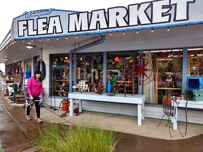 Waldport Flea Market welcomes coastal bargain hunters with its cheerful blue and white façade. Ocean breezes carry the scent of vintage treasures!
