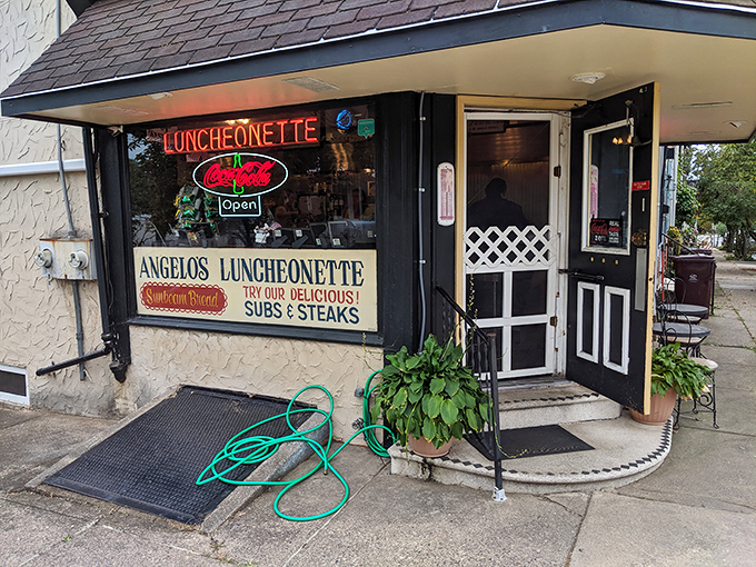 That screen door has welcomed generations of hungry Delawareans seeking luncheonette perfection in a world gone chain-restaurant crazy.