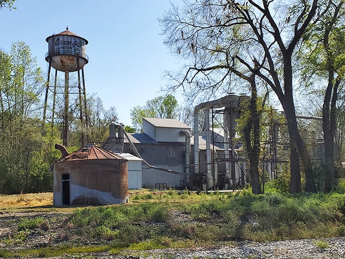 Industrial heritage meets small-town charm where Georgia's working history still echoes through quiet streets.