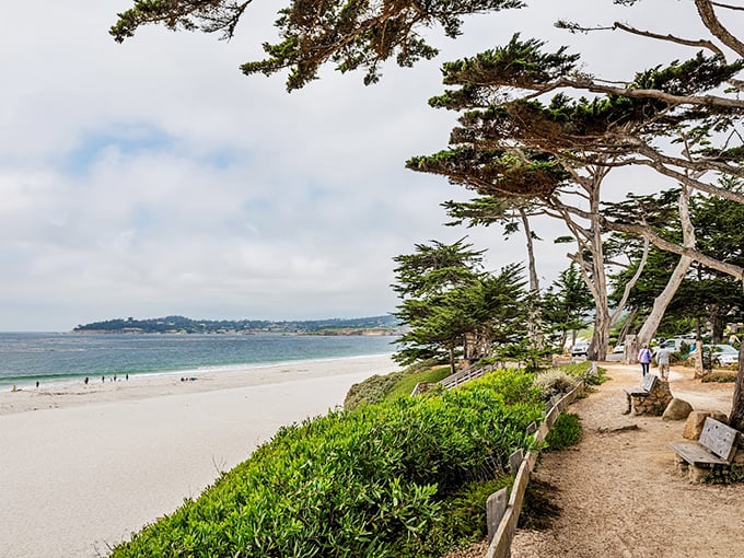 Cypress trees stand guard over this dog paradise. Nature framed this beach perfectly &ndash; no Instagram filter needed here!