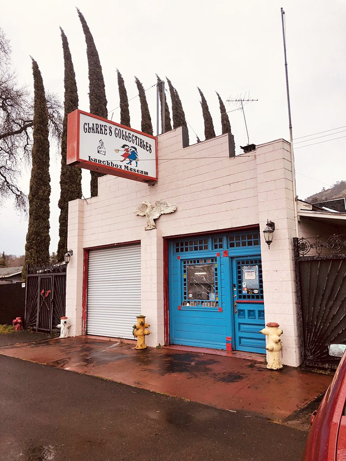 The bright blue door opens to a nostalgic wonderland where every school lunch container tells a story.