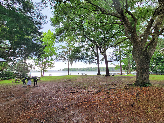 Lake views so peaceful, even the fish seem to be whispering &ndash; nature's own meditation app, batteries not required.