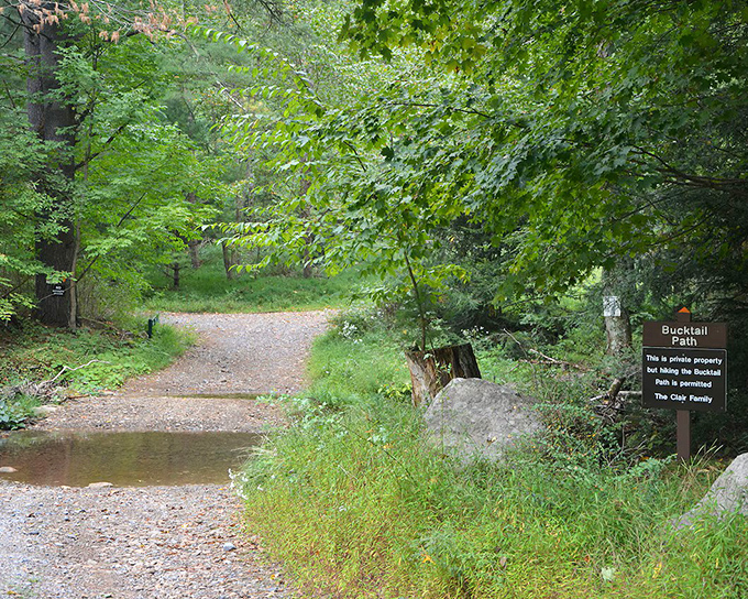 The Pennsylvania Wilds aren't just a place&mdash;they're an invitation to discover what happens when nature gets left to its own magnificent devices.