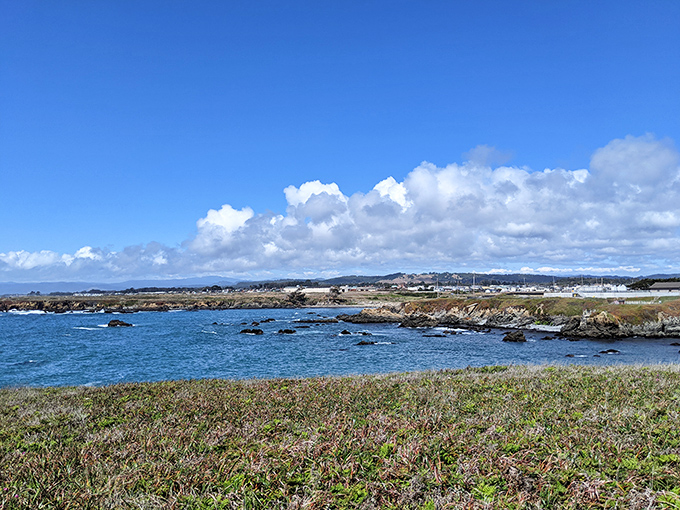 The view from Fort Bragg's hills reveals a patchwork of affordable neighborhoods nestled against the magnificent Pacific.
