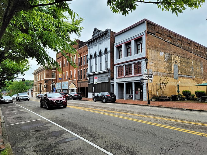 Hardware stores and history! Greeneville's brick-lined thoroughfare feels like a living museum where you can still buy nails by the pound and advice comes absolutely free.