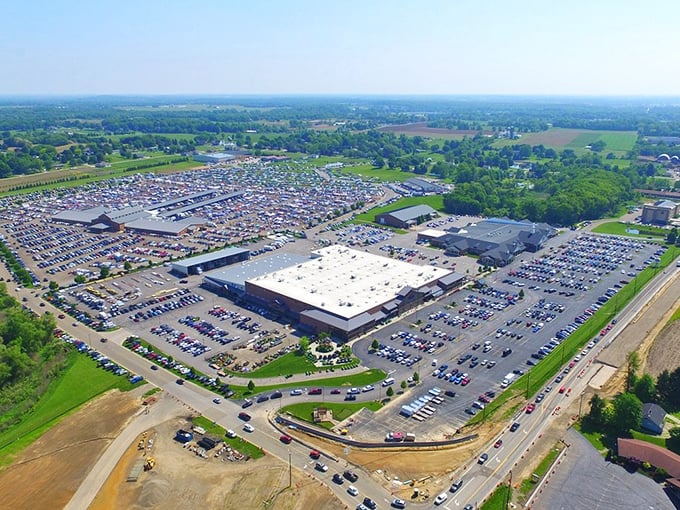From this bird's eye view, Hartville's parking lot looks like a game board where the prize is finding that perfect something.
