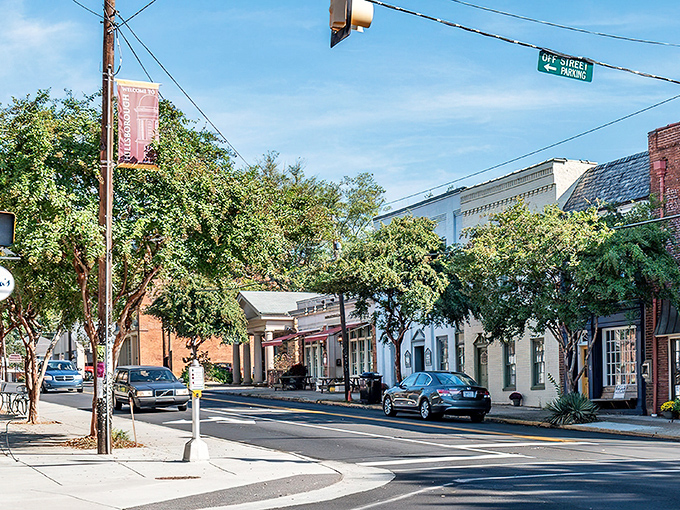 Historic Hillsborough's tree-lined streets tell stories without saying a word. If these sidewalks could talk...