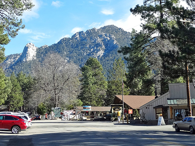 Idyllwild's tree-lined streets and mountain charm create the perfect backdrop for that "I'm leaving the city behind" feeling we all crave.