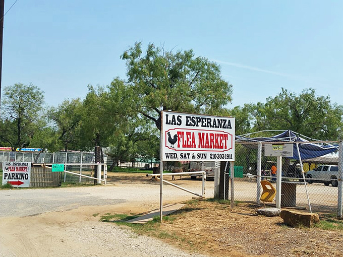Rustic charm meets practical shopping! Las Esperanza's outdoor market offers a genuine slice of San Antonio trading tradition.