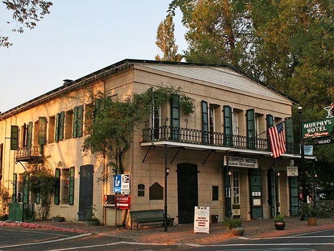 Murphys' golden walls practically glow with "hope" - both the word and the feeling it inspires.