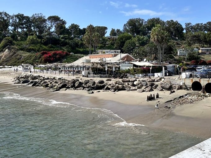 Waves gently lap at the shore just steps from your table. This hidden Malibu cove feels like your own private beach club.
