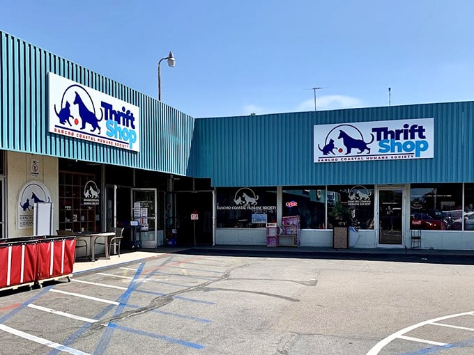 Shopping here isn't just retail therapy &ndash; it's helping furry friends find forever homes too!