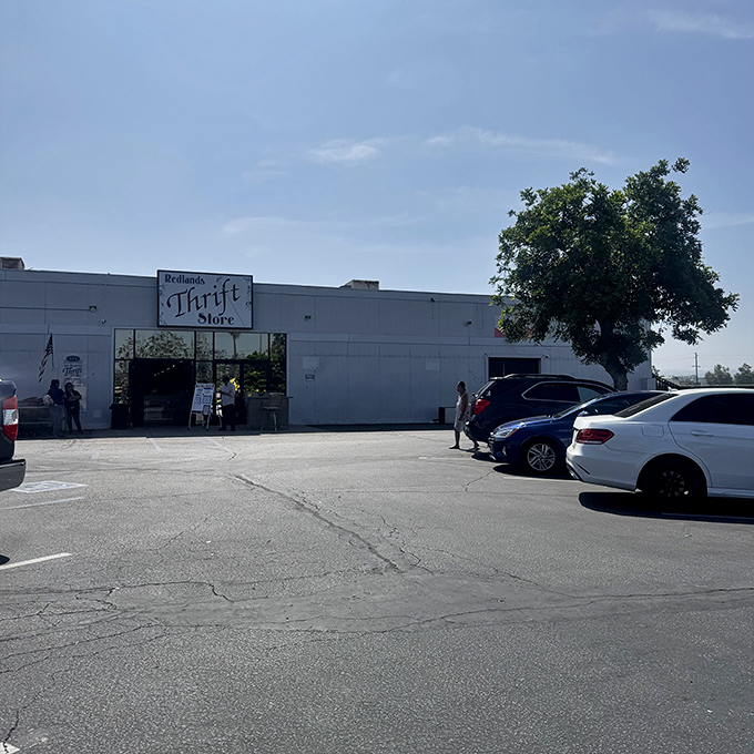 That massive building stretches like a warehouse of possibilities, where yesterday's discards become tomorrow's perfect finds.