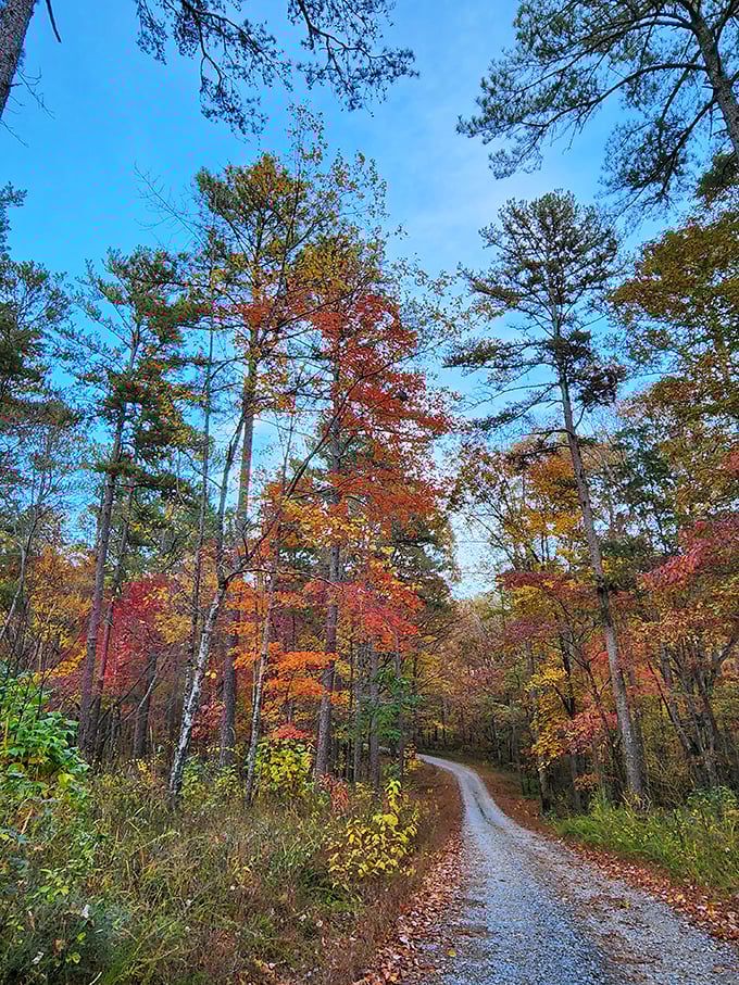 Ridge and Valley's rollercoaster roads reveal panoramic treasures at every turn. Mother Nature showing off her best angles!