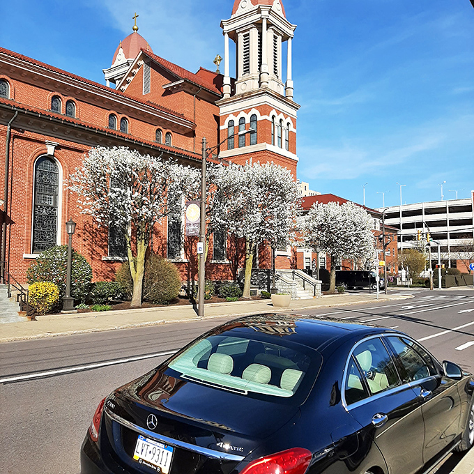 This stately church stands as Scranton's spiritual anchor, its red brick and white blossoms creating a postcard-perfect urban scene.