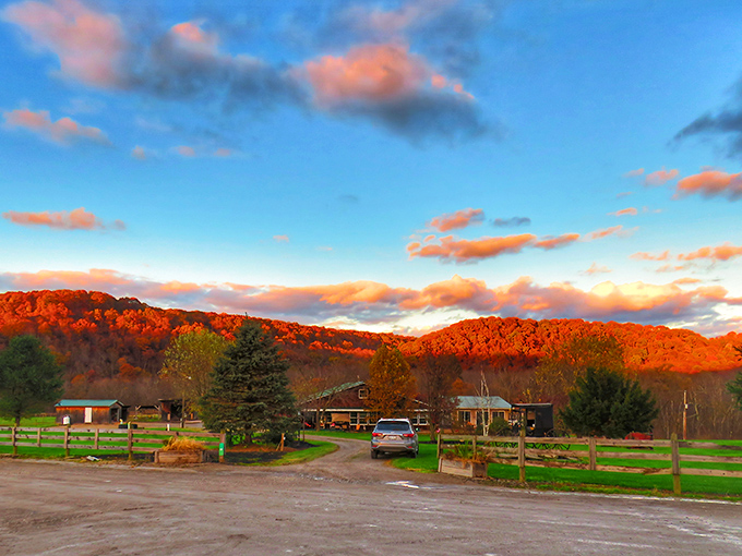 Sunset paints the hills like nature's dessert. After a day of maple-glazed everything in Smicksburg, the view is just as sweet. 