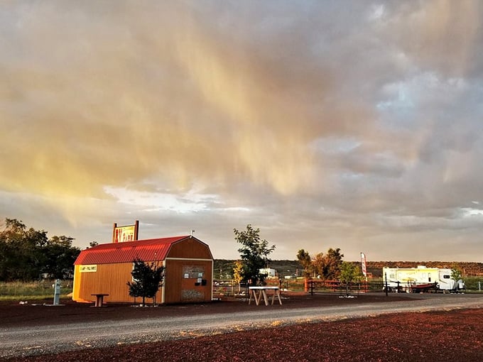 Under Arizona&rsquo;s wide-open skies, Springerville greets you with small-town charm, where golden sunsets and quiet streets set the pace for peaceful retirement living.