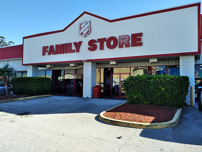 Palm trees and thrift stores&mdash;a classic Florida pairing that promises air-conditioned treasure hunting on hot days!